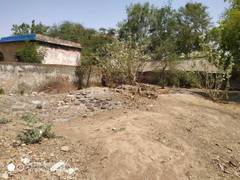Kothi Bazar, Betul: Map, Property Rates, Projects, Photos, Reviews, Info