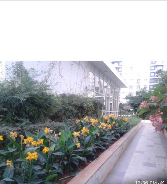 Megapolis Sparklet in Hinjewadi, Pune: Price, Brochure, Floor Plan, Reviews