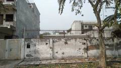 Sector 70, Noida: Map, Property Rates, Projects, Photos, Reviews, Info