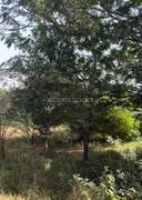 Bavla, Ahmedabad: Map, Property Rates, Projects, Photos, Reviews, Info