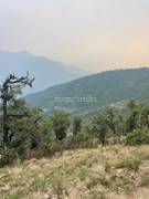 Dunga Road, Dehradun: Map, Property Rates, Projects, Photos, Reviews, Info