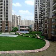spring meadows noida