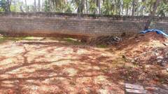 Basavanagudi, Bangalore: Map, Property Rates, Projects, Photos, Reviews ...
