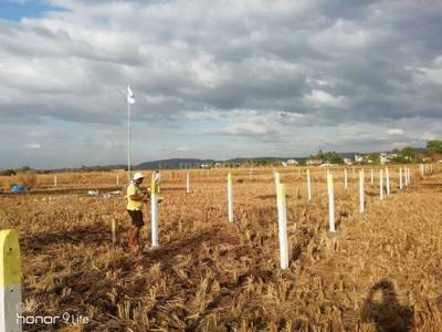 1089 Sq-ft Residential Plot & Land for Sale in Chirle,Navi Mumbai ...