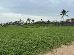 Panaiyur, Chennai: Map, Property Rates, Projects, Photos, Reviews, Info