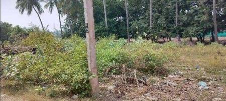 APCRDA Plots/Land in Pamarru | 3 APCRDA approved Plots/Land in Pamarru