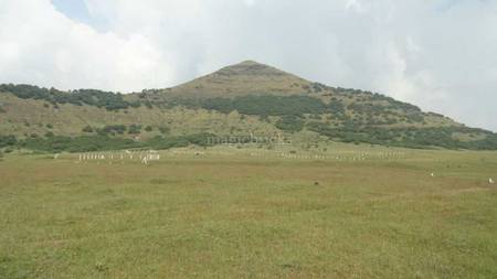 Plots for Sale in Pathardi Road, Nashik: 1+ Residential Land / Plots in ...