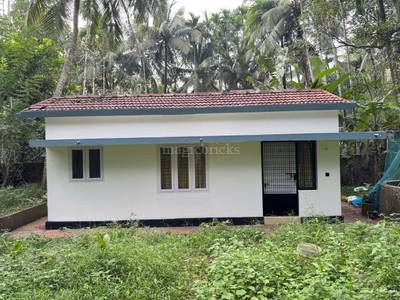 House for Rent in Balussery, Kozhikode: 1+ Rental Houses in Balussery
