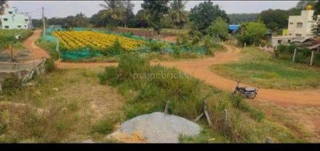 NPA Plots/Land near HMT Layout Nagasandra | NPA approved Plots/Land ...