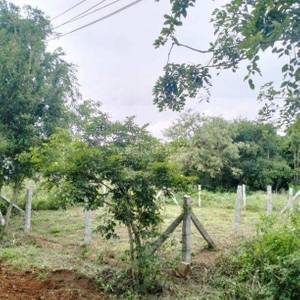 2400 Sq-ft Residential Plot & Land for Sale in BCCHS Layout,Bangalore ...