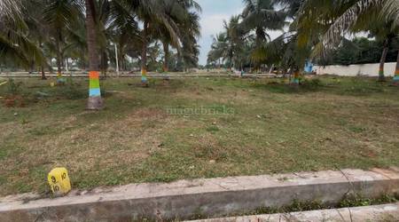 Sunray Beach Front Price, Plot/Land & Properties for sale near Sunray ...