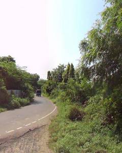 Agriculture Land for Sale in Gujarat: Check 452+ Agricultural & Farm ...