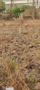 Plots for Sale in Navali, Palghar - 1+ Residential Land / Plots in Navali