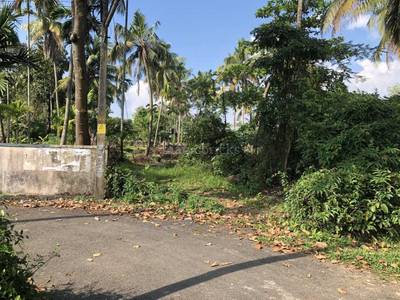 Residential Land / Plots for Sale in Kochi below ₹50 Lakhs